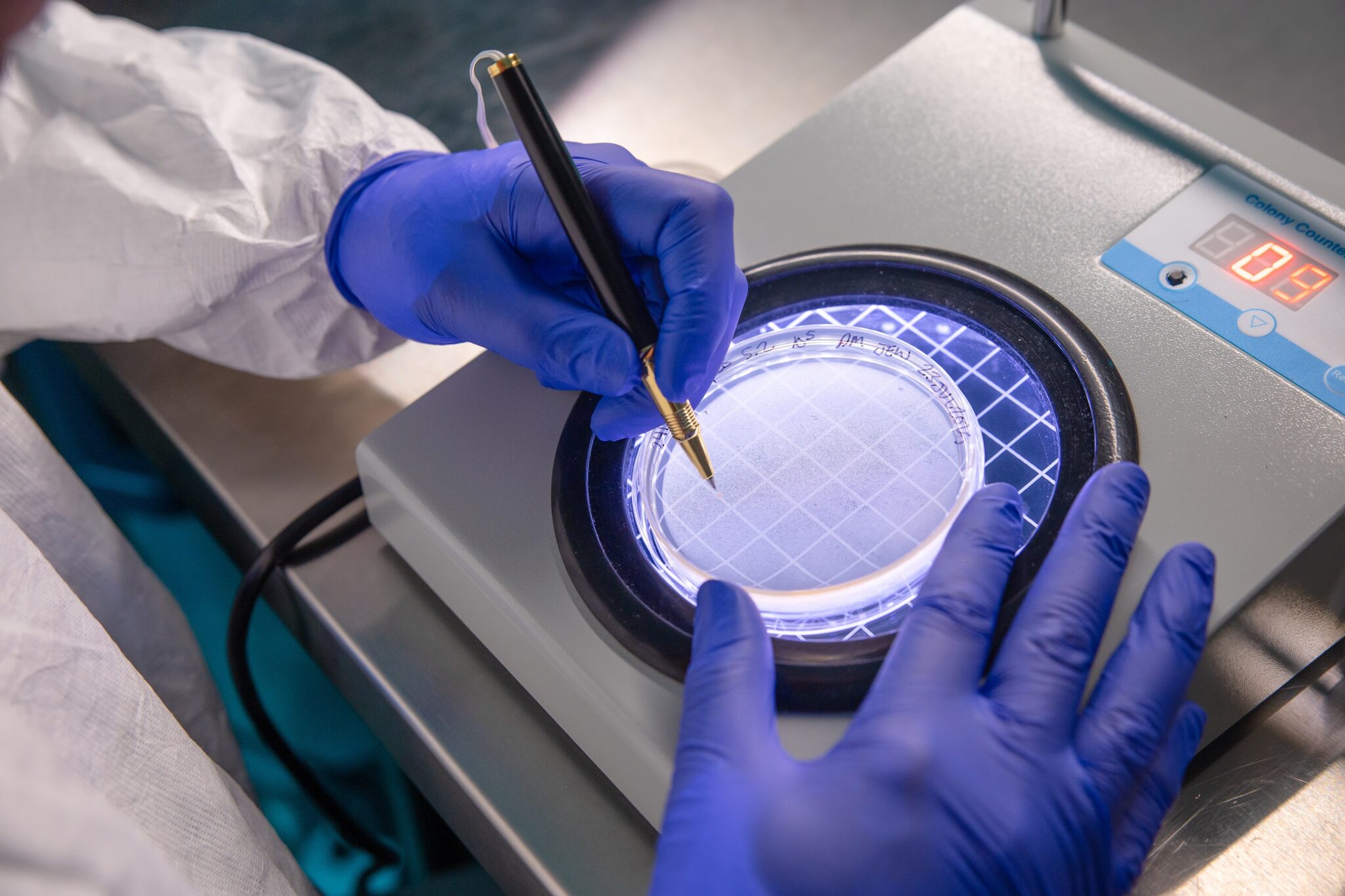 Microbial Ranking (ASTM F1608): Key Insights for Sterile Packaging ...