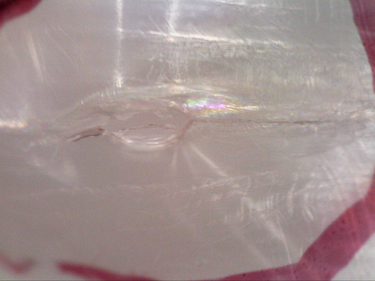 The Importance of Early Feasibility Testing | Packaging Compliance Labs